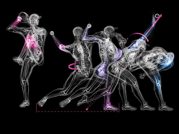 Training & Performance | Motor Preferences & Primitive Reflexes | USA