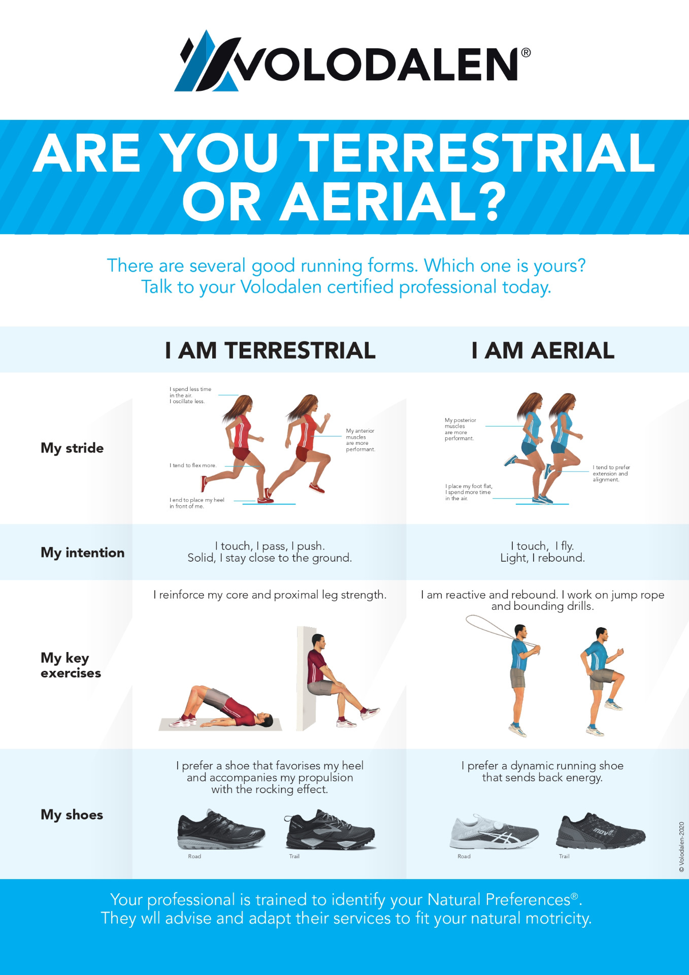 Blog | Motor Preferences Experts | USA